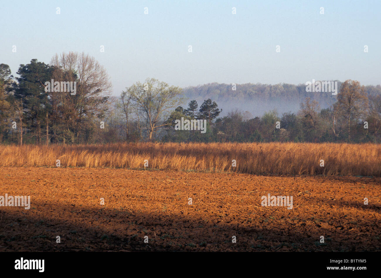 Rural alabama photograph hi-res stock photography and images - Alamy