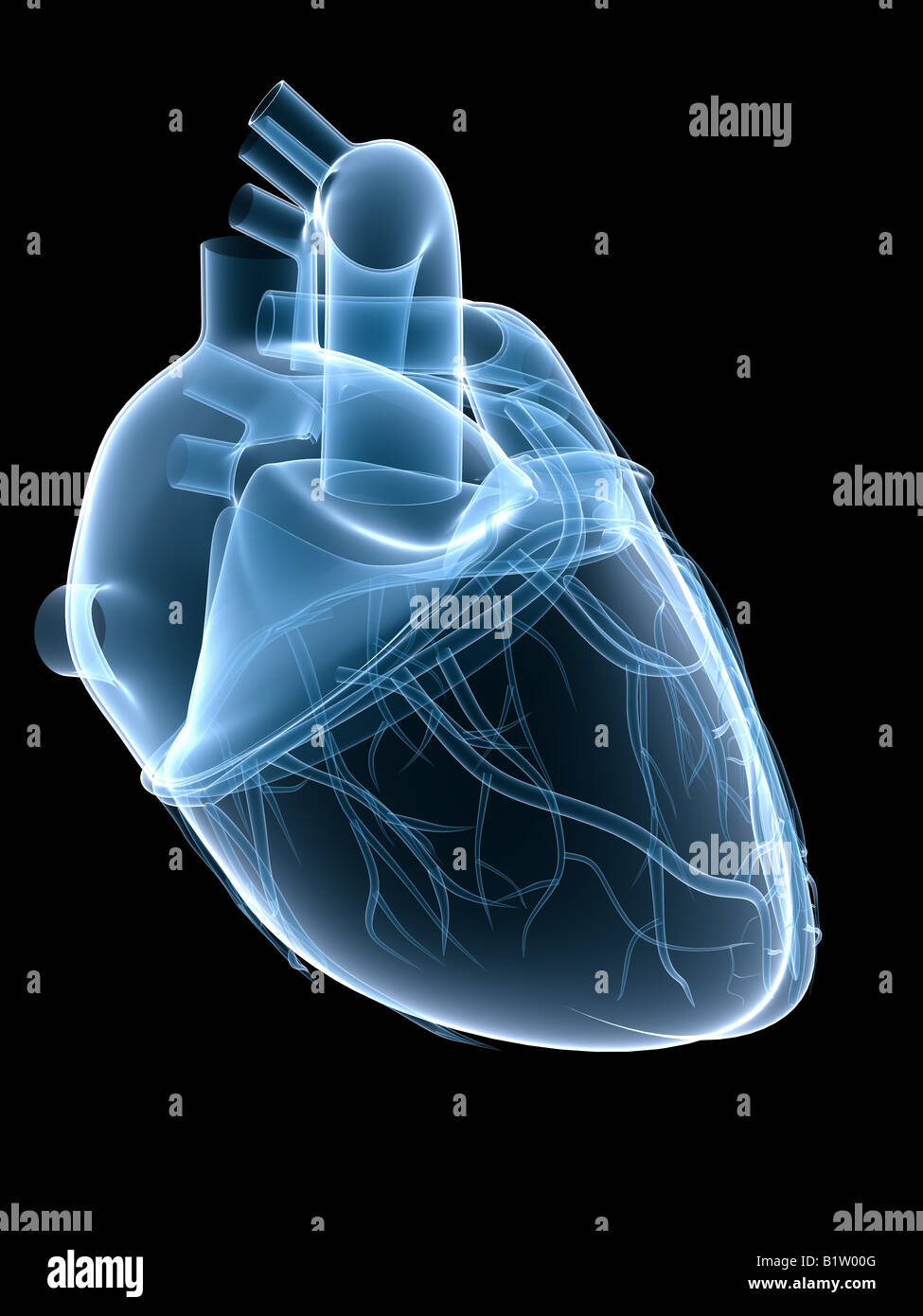 Human stress hi-res stock photography and images - Alamy