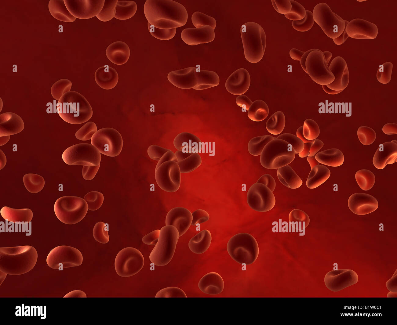 Organs protection hi-res stock photography and images - Alamy