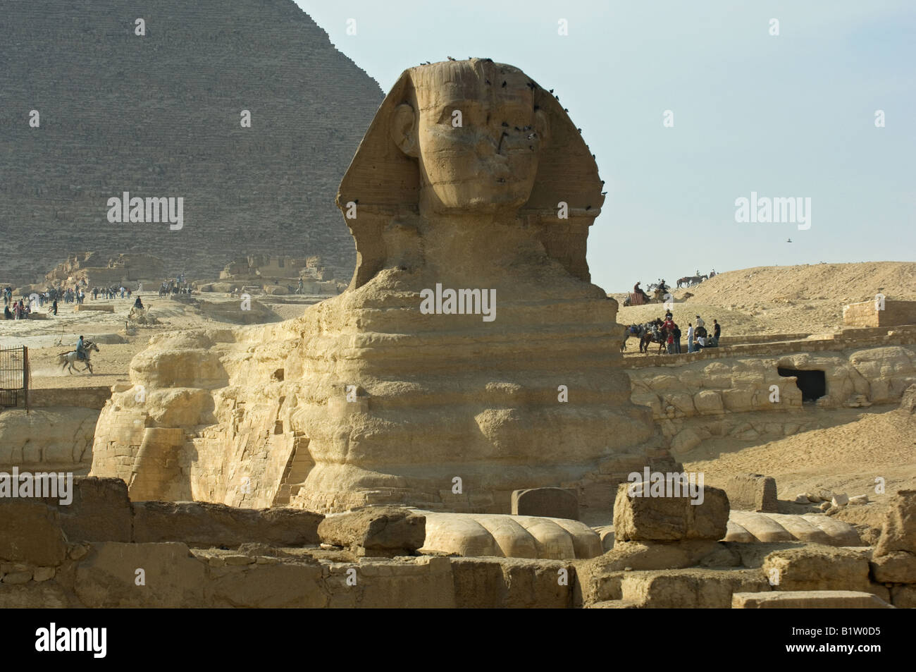 The Sphinx at Giza, Cairo, Egypt Stock Photo - Alamy