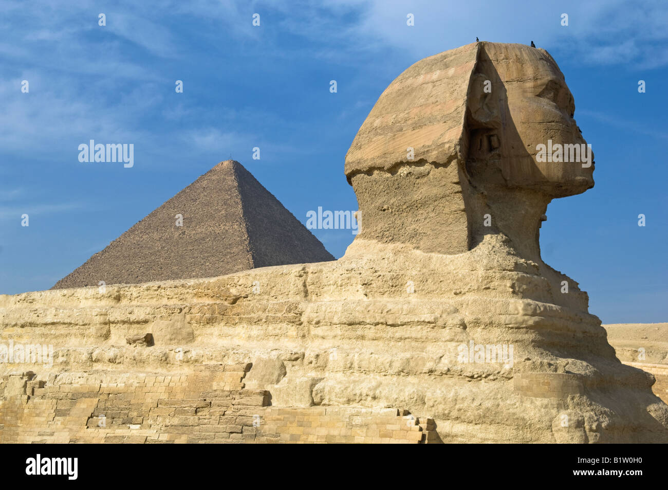 The Sphinx at Giza, Cairo, Egypt Stock Photo - Alamy