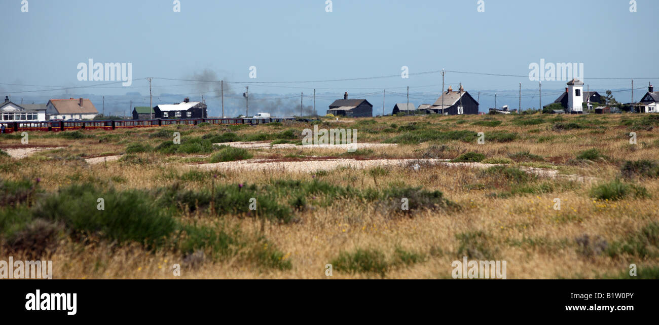 Landscape view of Dungeness, taking in the grassy beach with charming ...