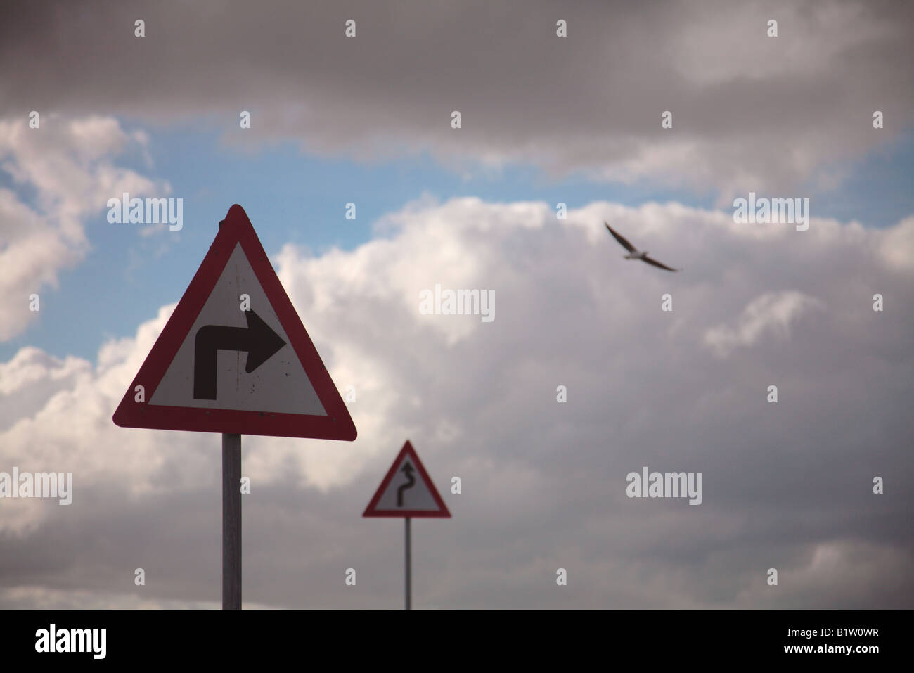 Street signs with a stormy cloudy sky background and a seagull flying ...