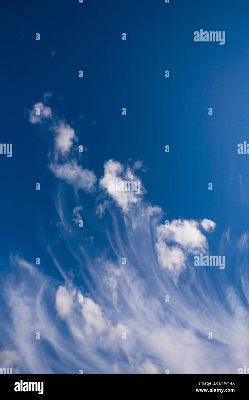 High level Cirrus clouds in early English summer Stock Photo - Alamy