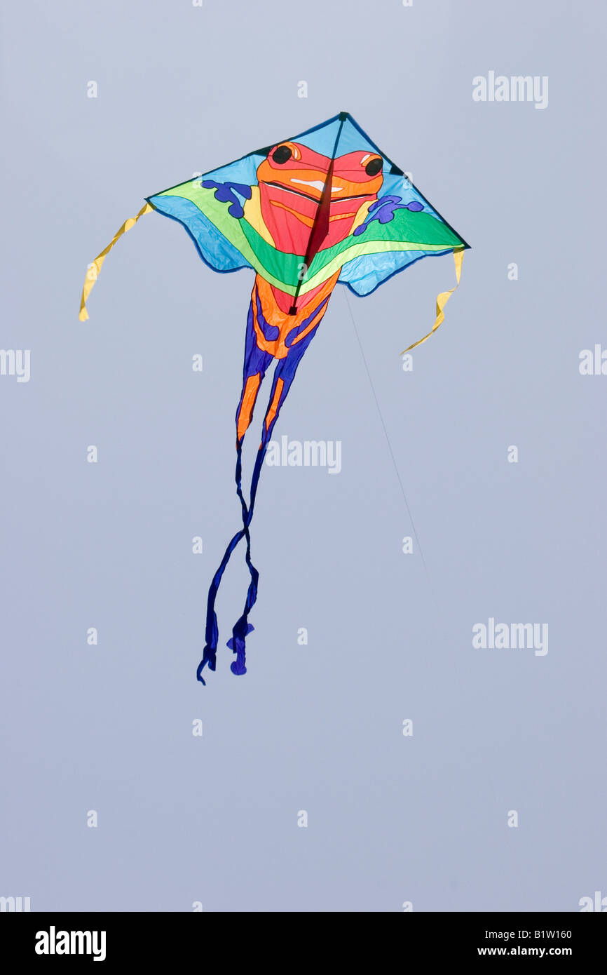 Kite tail family hi-res stock photography and images - Alamy