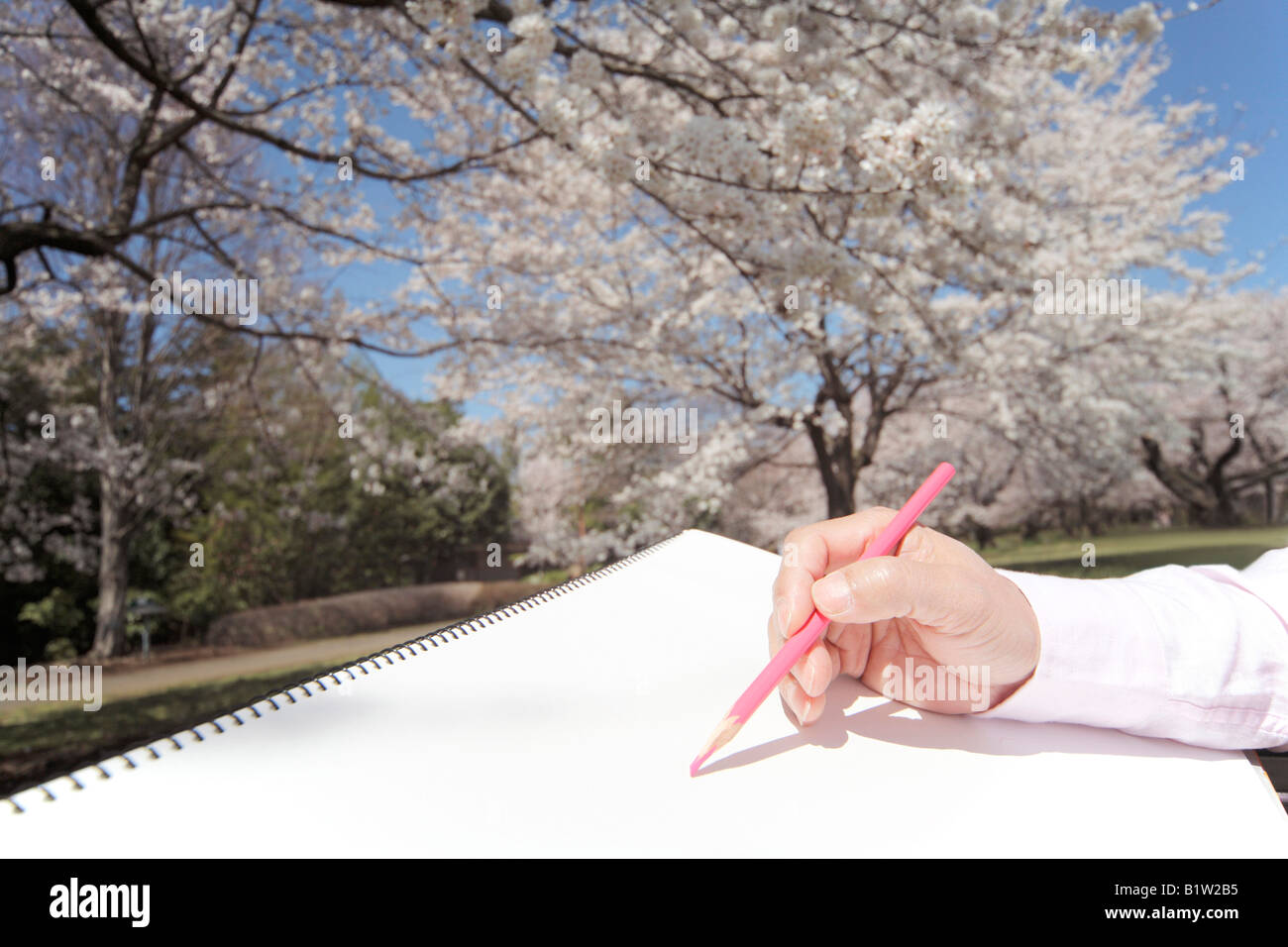 Plant sketching hi-res stock photography and images - Alamy