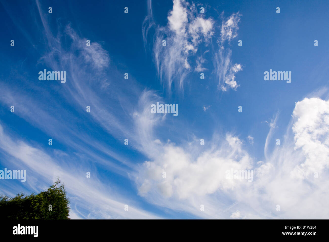 High level Cirrus clouds in early English summer Stock Photo - Alamy