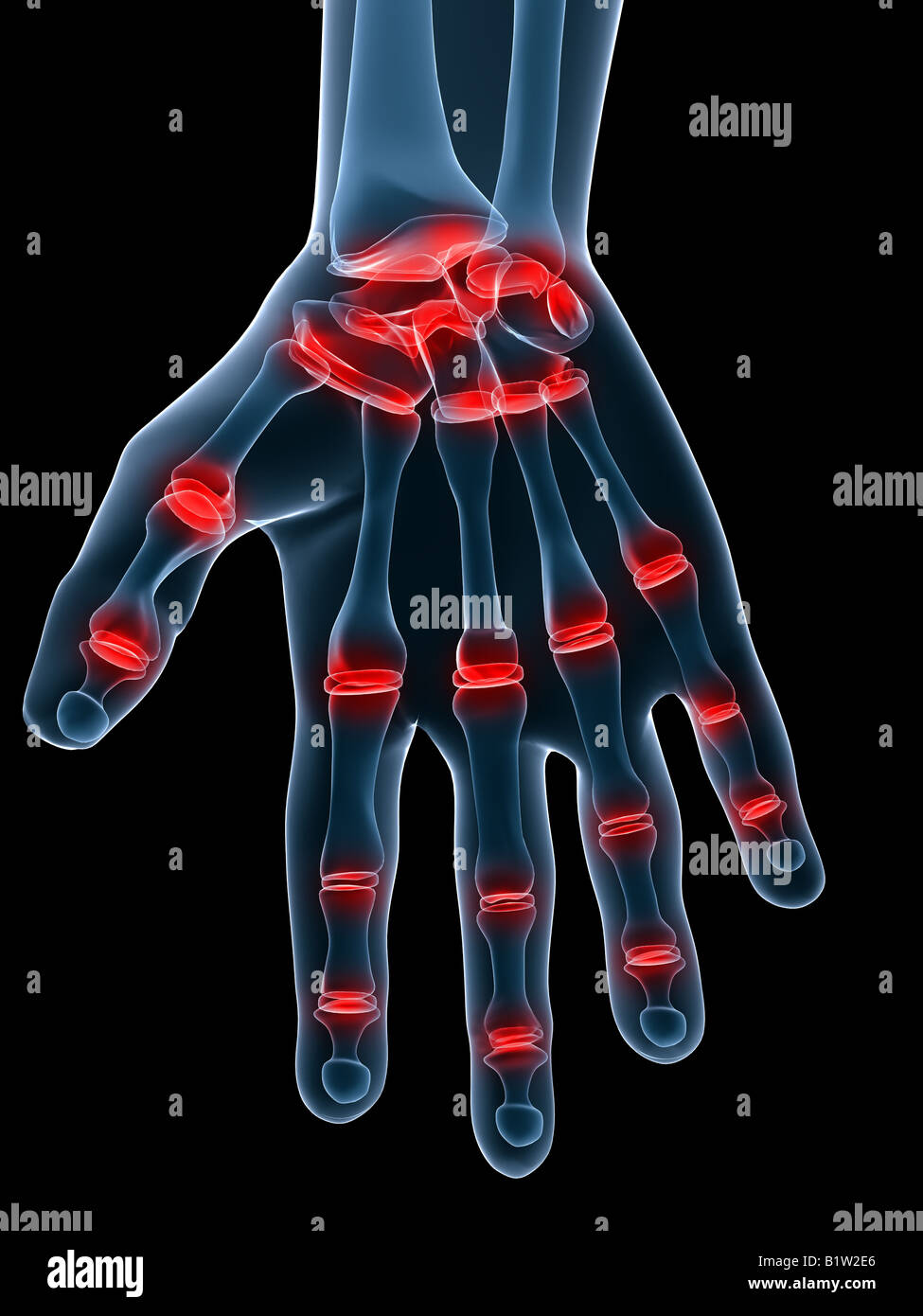highlighted hand joints Stock Photo - Alamy