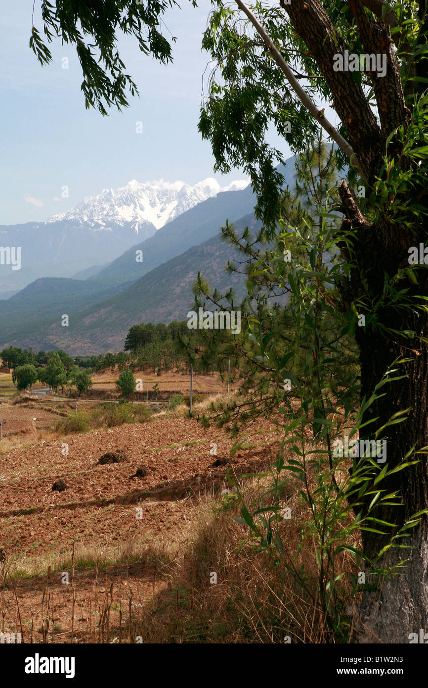 Huba hi-res stock photography and images - Alamy