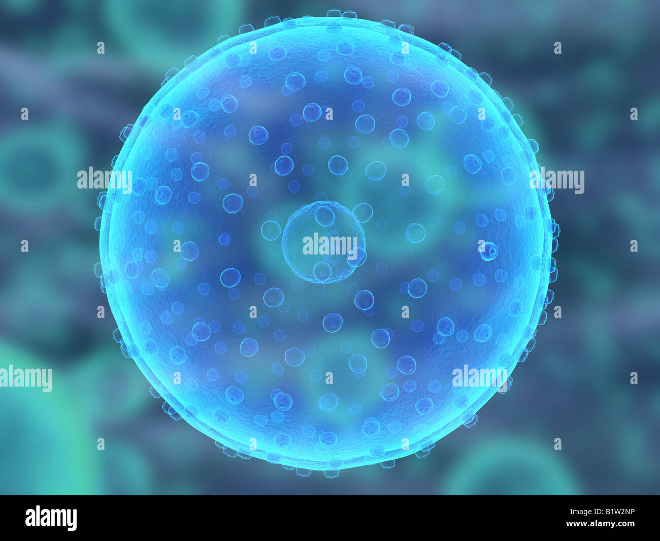 Scanning electron microscope cell hi-res stock photography and images ...