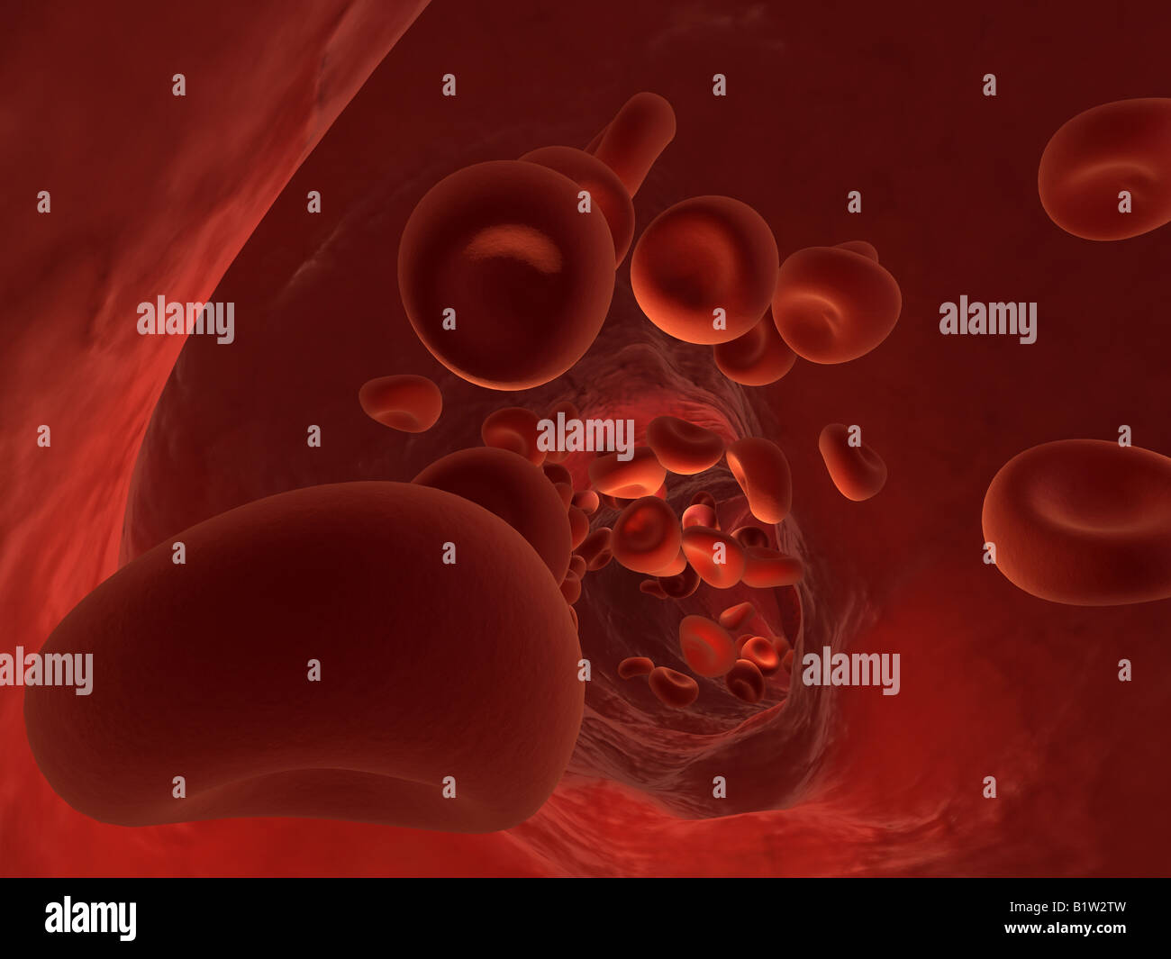 Blod cell hi-res stock photography and images - Alamy