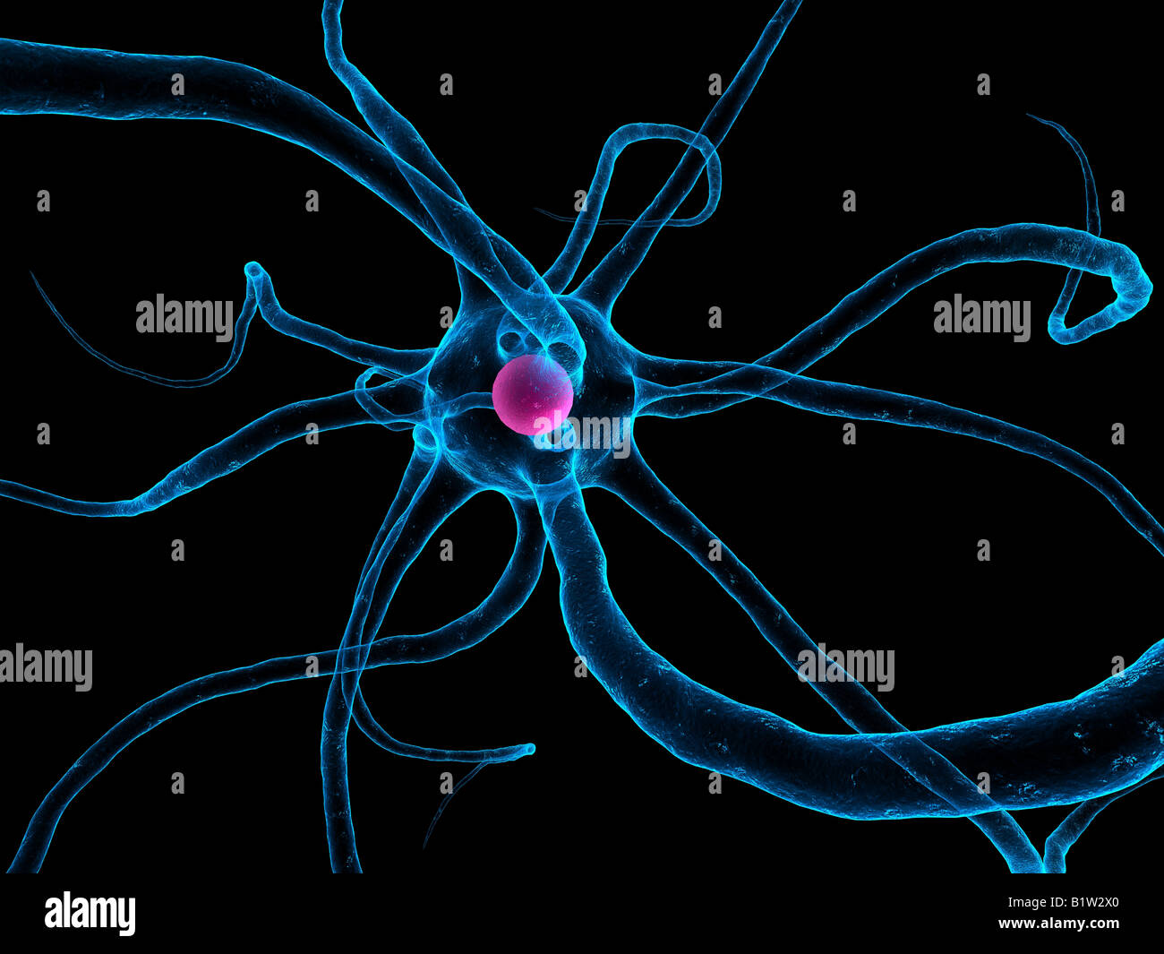 Nerve cell microscope hi-res stock photography and images - Alamy
