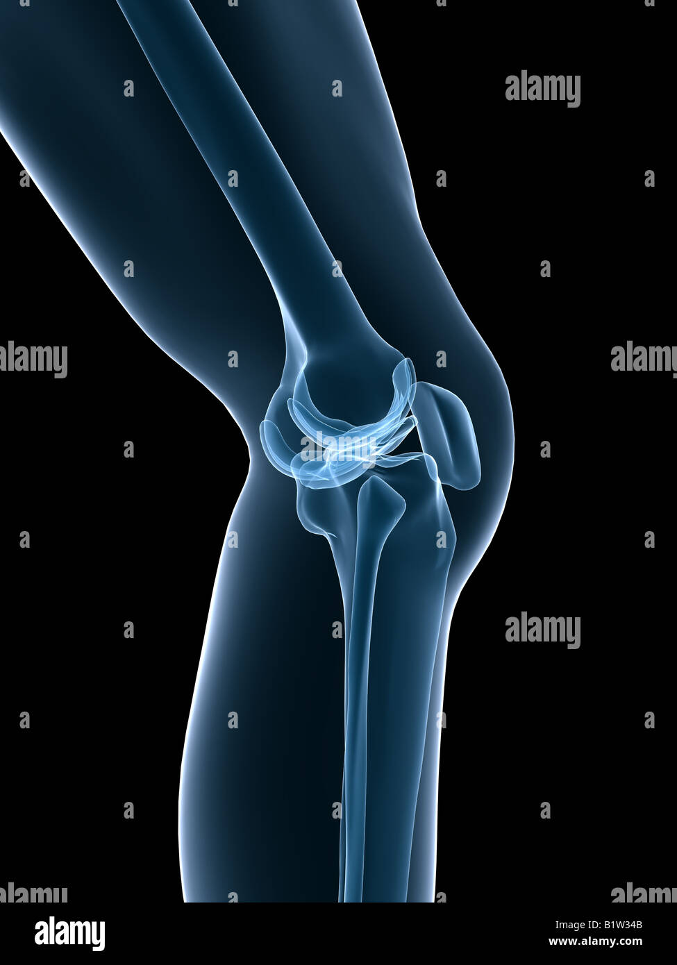 Human knee hi-res stock photography and images - Alamy