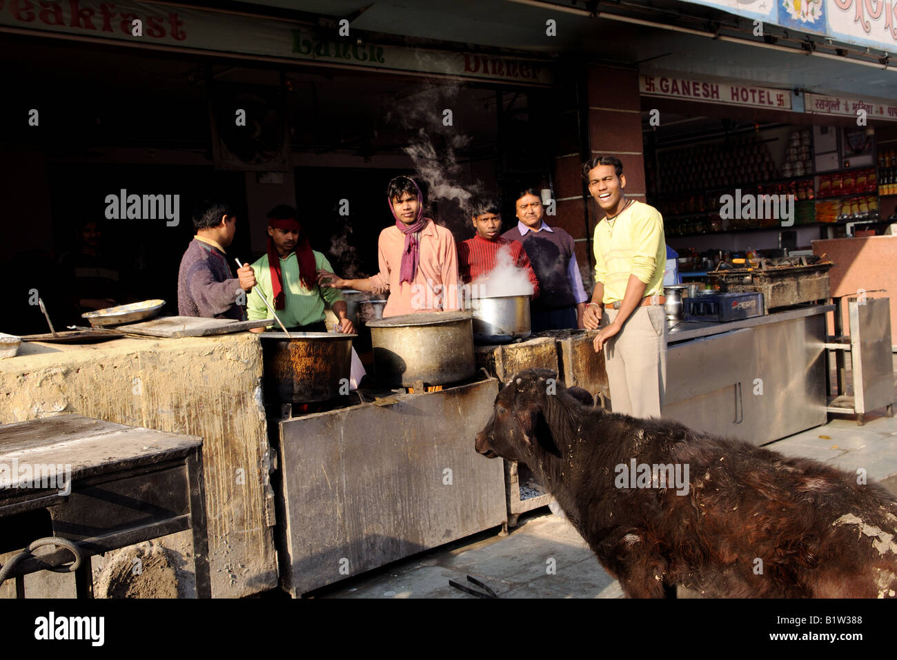 Street scene in India, cows and people stand near a local tea shop ...