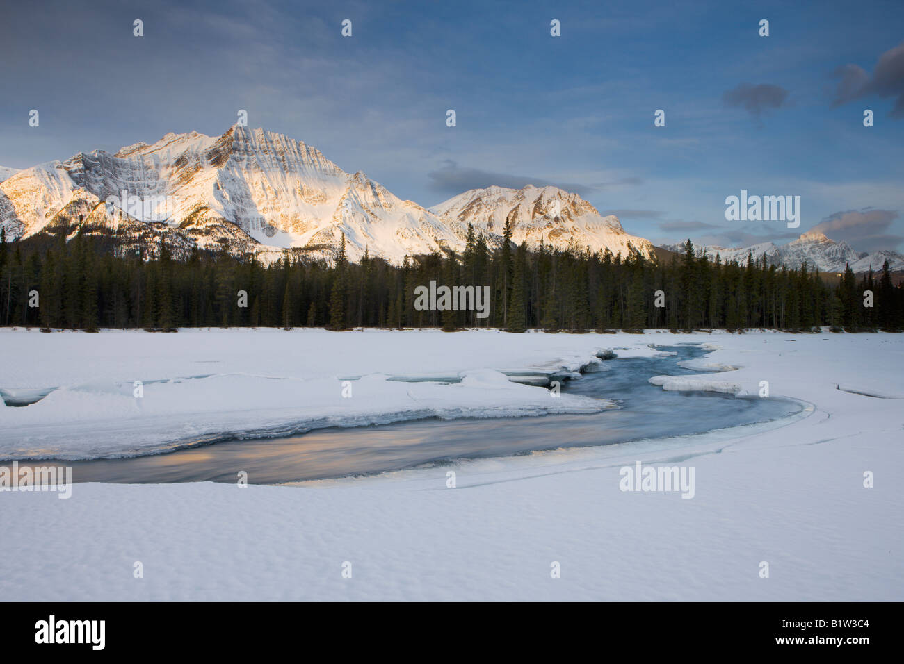 Canada alberta sawridge range jasper hi-res stock photography and ...