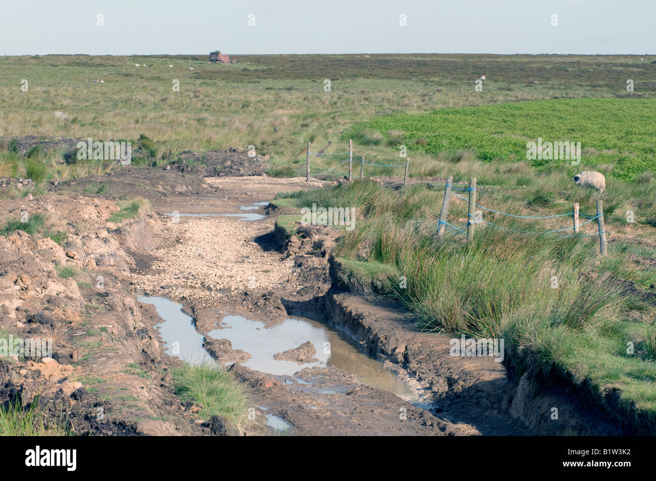 SSSI, vehicle damage and repair at Moss Road on "Totley Moor "in ...