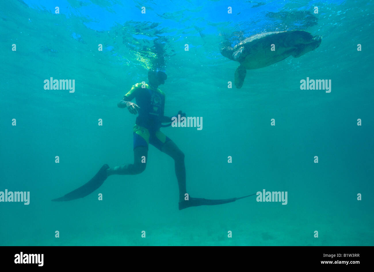 Man meeting animal hi-res stock photography and images - Alamy