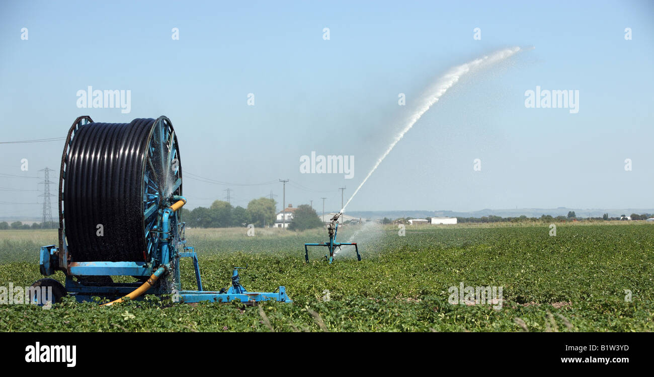 Watering crops in Kent Stock Photo - Alamy