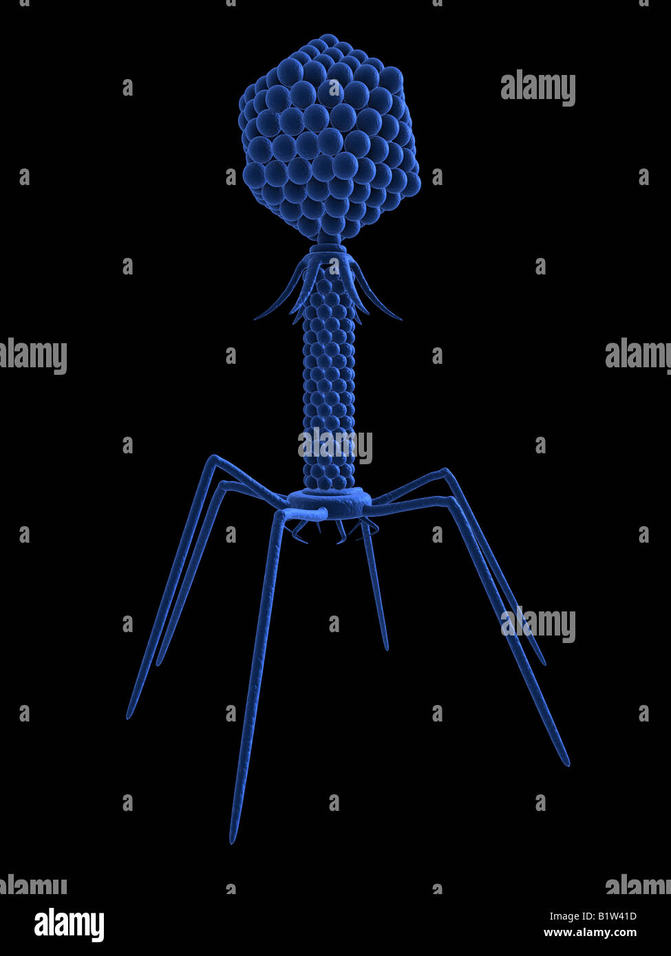 Bacteriophage Microscope High Resolution Stock Photography and Images - Alamy