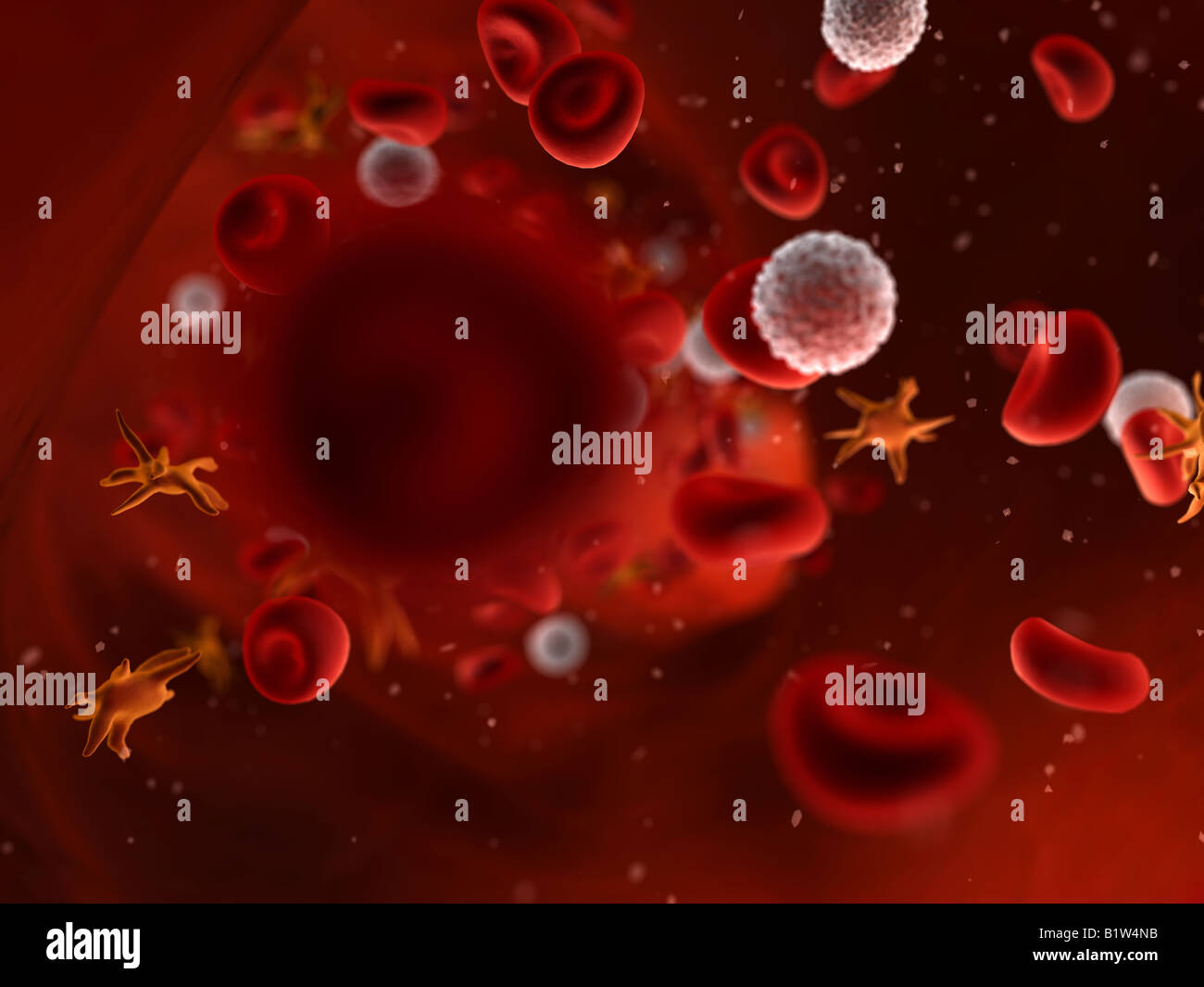 Blood flow artery hi-res stock photography and images - Alamy