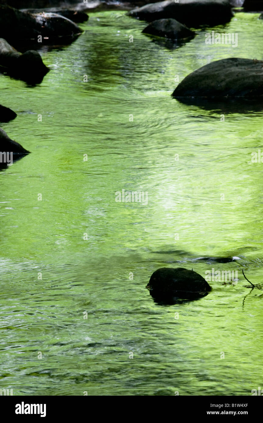 Stream course rippling water rivers hi-res stock photography and images ...