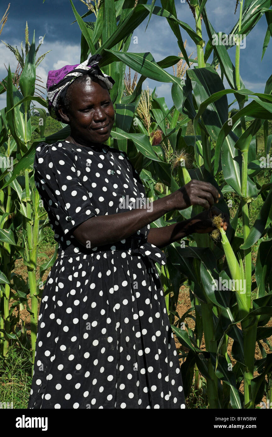 Maize farmer africa kenya hi-res stock photography and images - Alamy