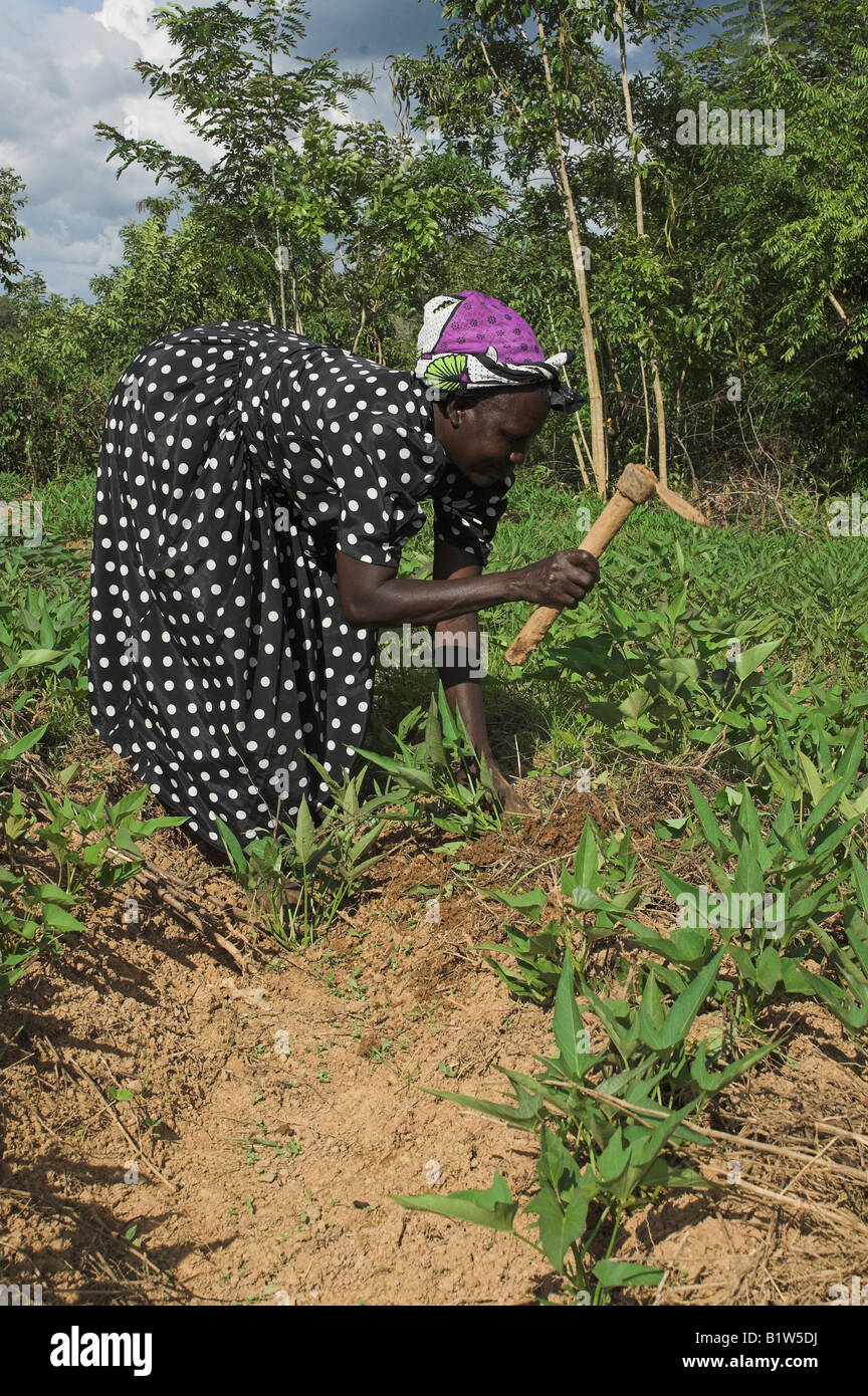 3rd soil hi-res stock photography and images - Alamy