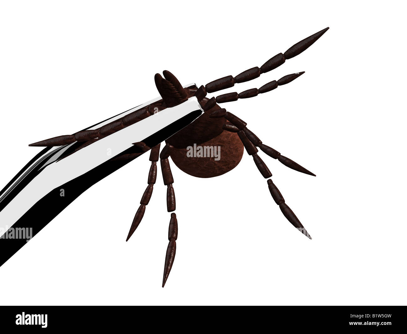 Tick Cut Out Stock Images & Pictures - Alamy