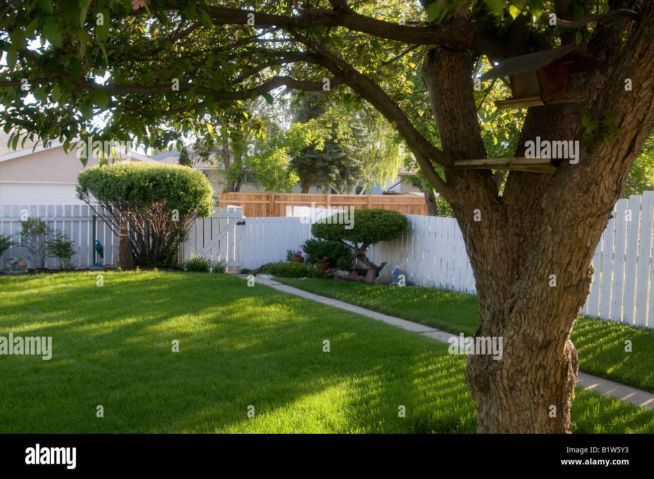 Suburban backyard hi-res stock photography and images - Alamy