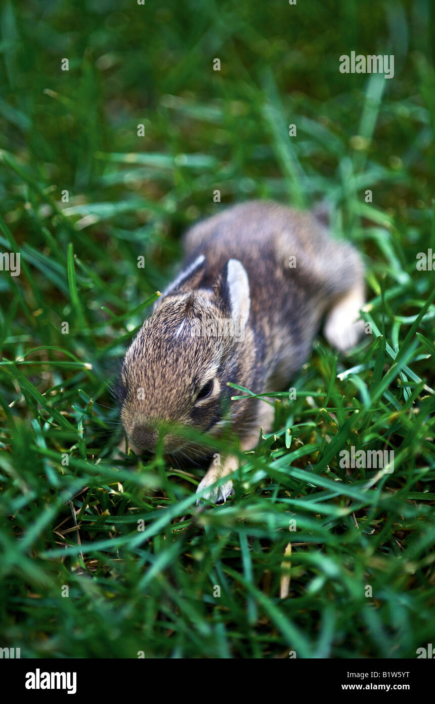 Aproximately hi-res stock photography and images - Alamy