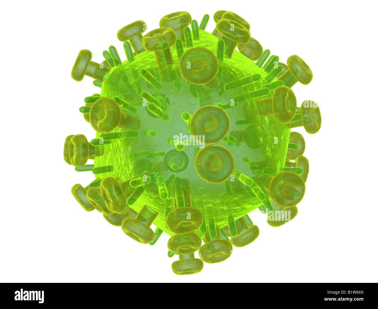 Virus infecting cell hi-res stock photography and images - Alamy