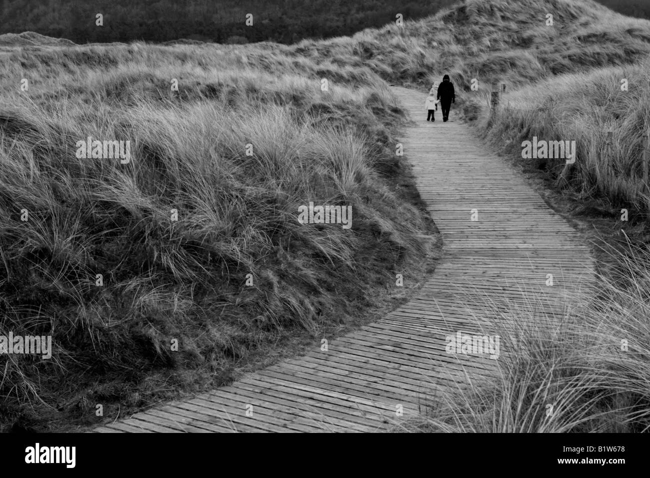 Path with grass Black and White Stock Photos & Images - Alamy