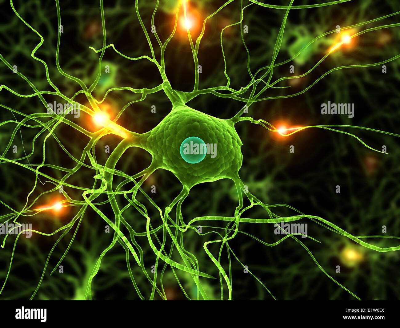 active nerve cells Stock Photo - Alamy
