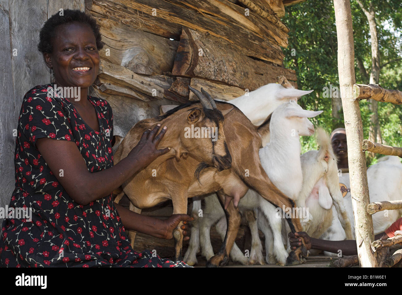 Lady hut hi-res stock photography and images - Alamy
