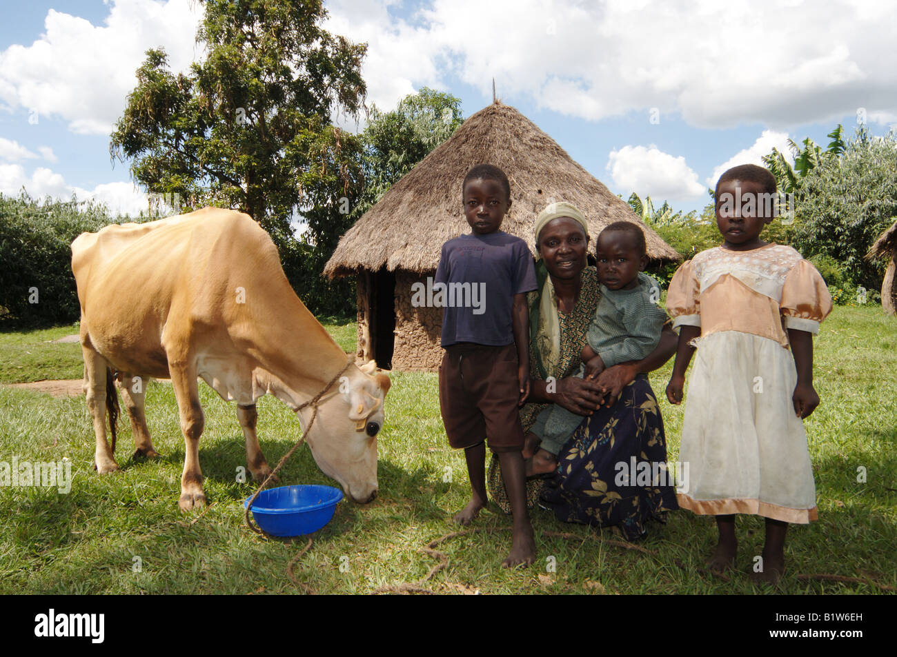 African Mother with young children and cow feeding from plastic bucket ...