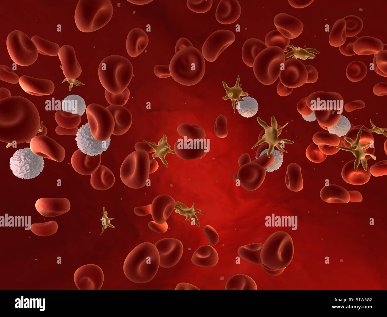 Red blood cell artery hi-res stock photography and images - Alamy