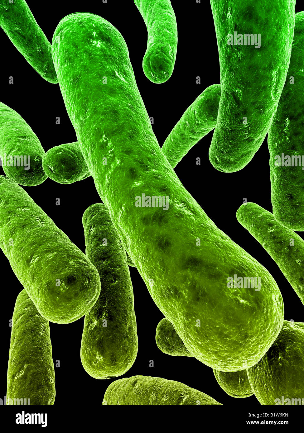 Bacteria illustrations hi-res stock photography and images - Alamy