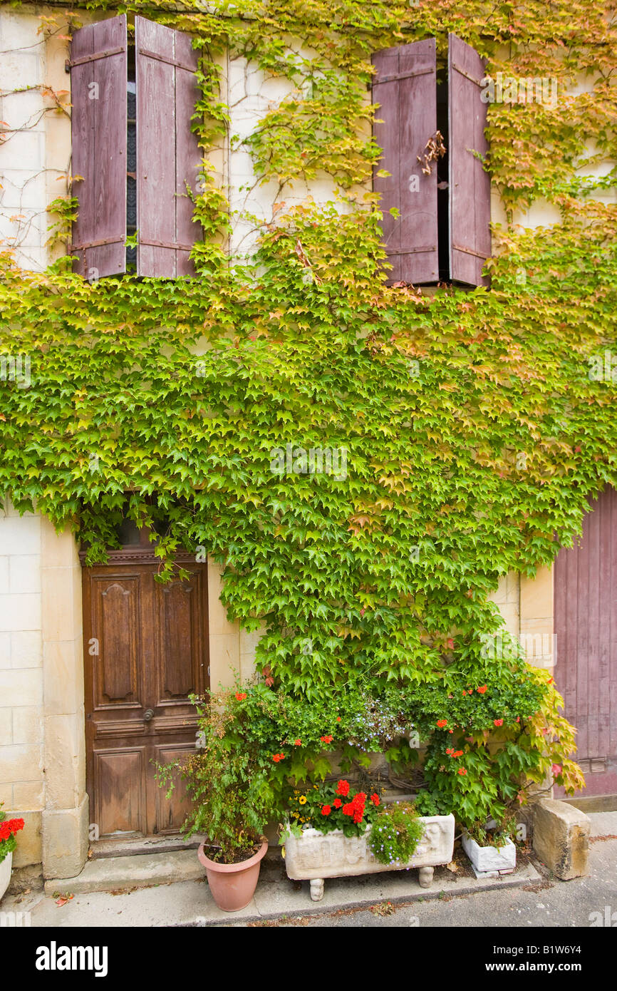 France Languedoc Roussillon Detail of house covered in virginia creeper ...