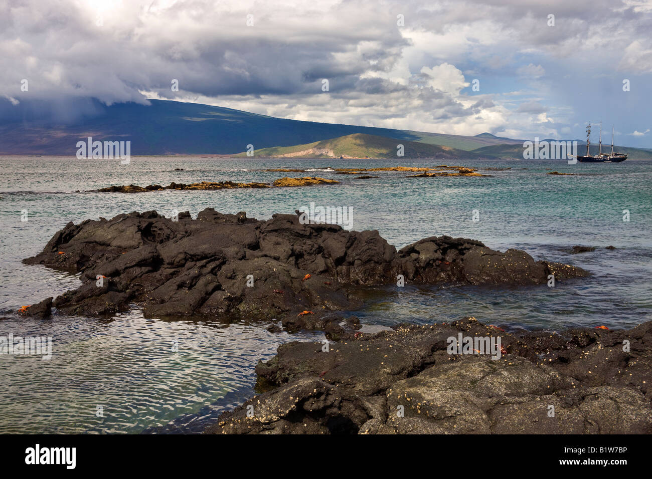 Island of Fernandina in the Galapagos Islands Stock Photo - Alamy