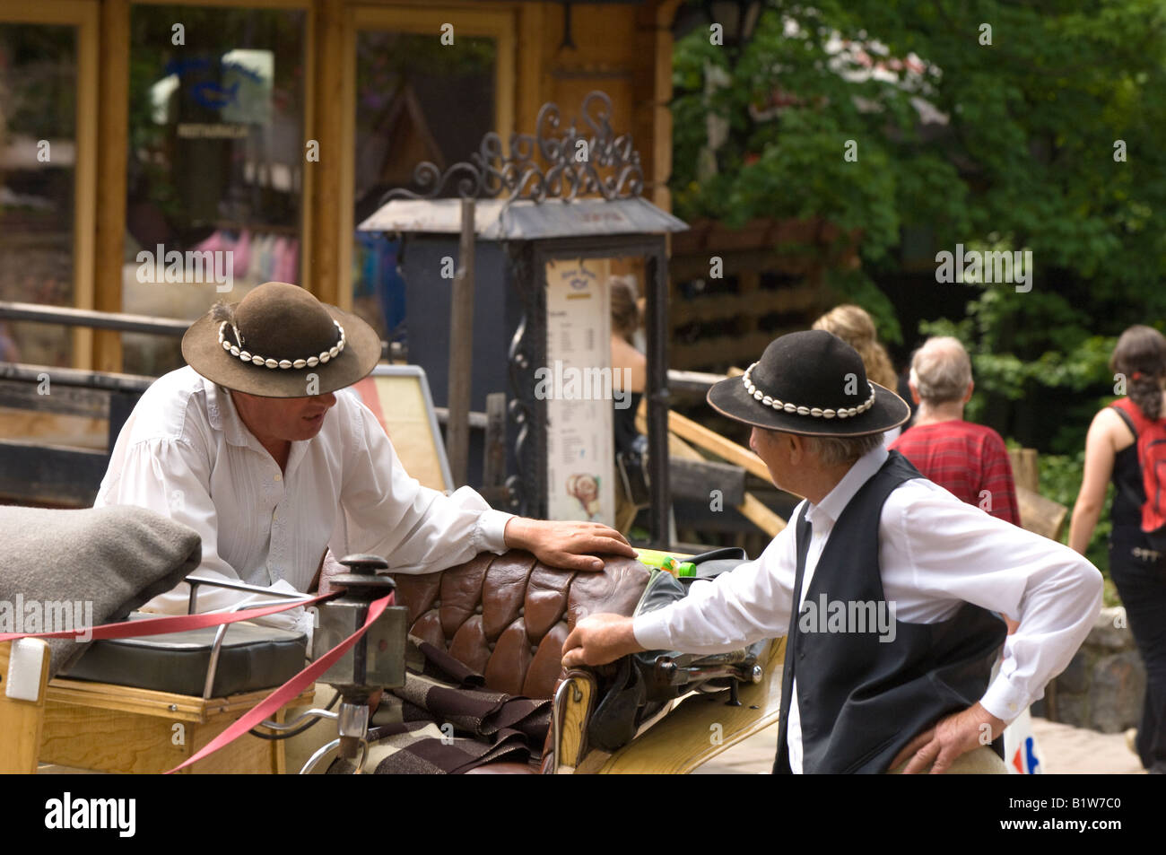 Zakopane goral goral hi-res stock photography and images - Alamy