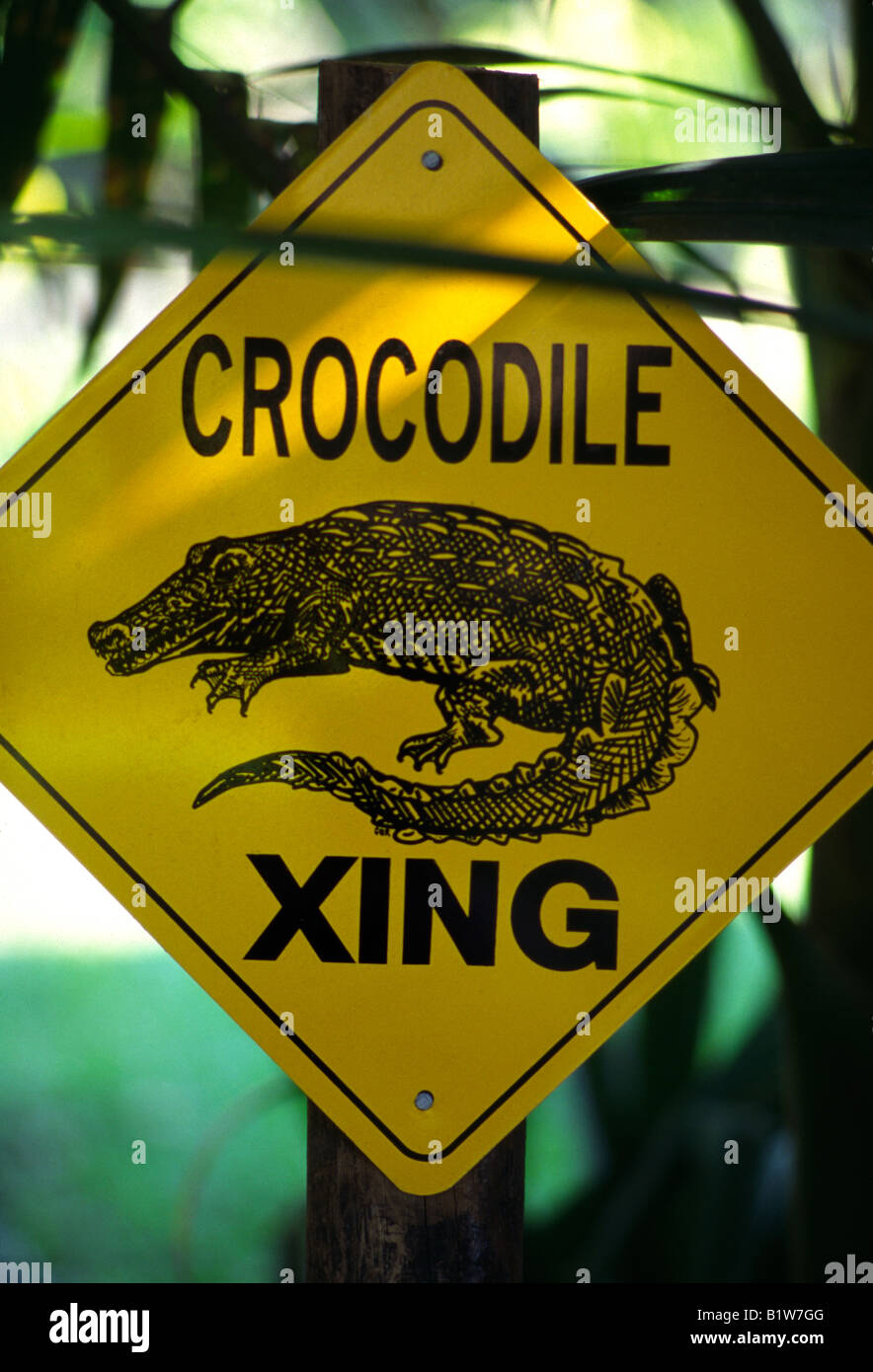 Crocodile warning road sign hi-res stock photography and images - Alamy