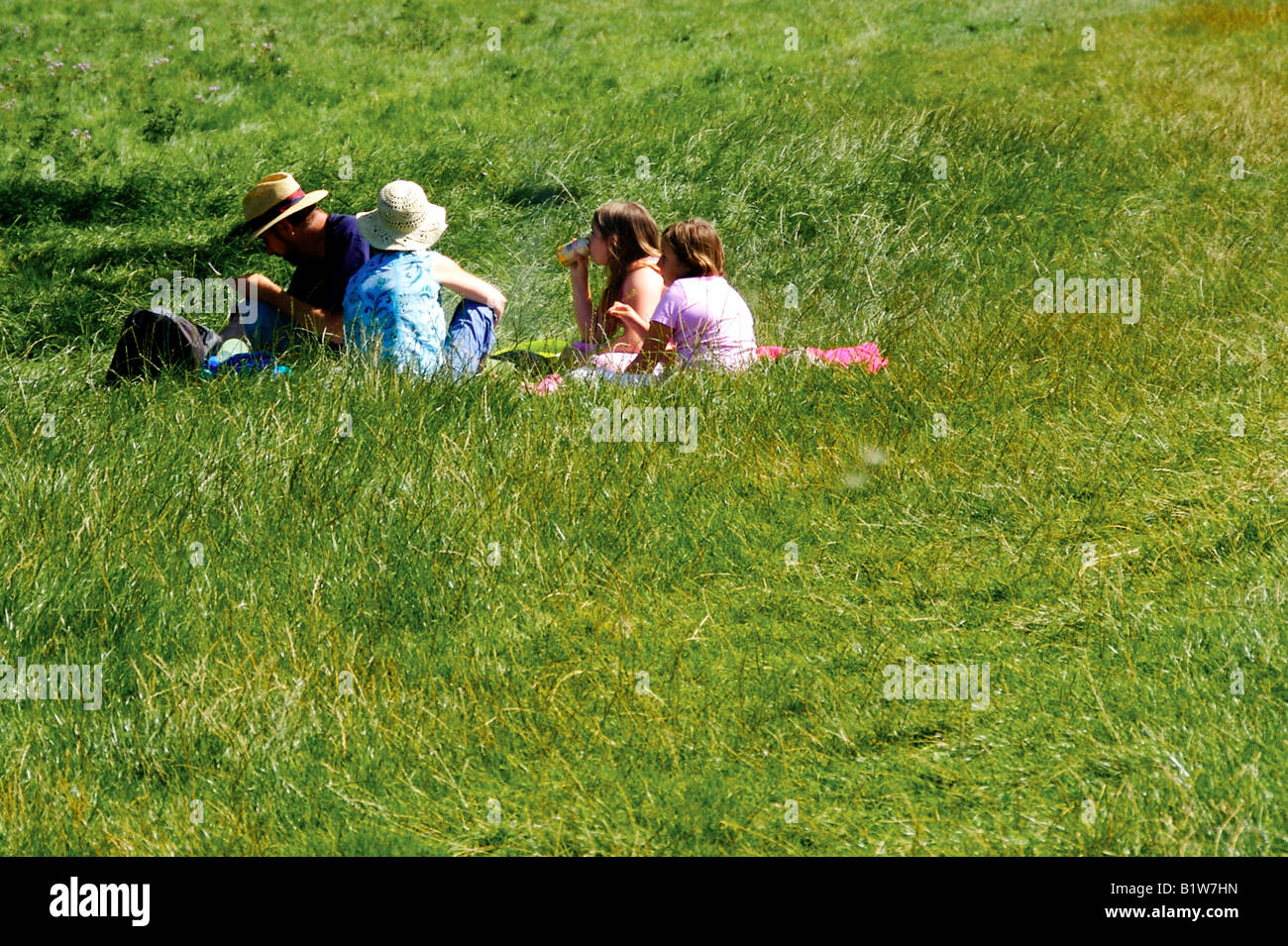 Field Between Bibury Coln St Aldwyns Cotswolds UK Stock Photo - Alamy