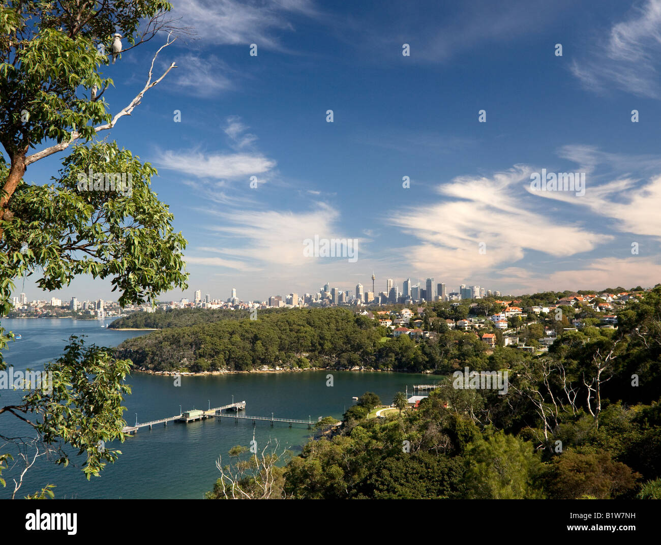 View of Sydney city skyline from Middle Head Stock Photo - Alamy