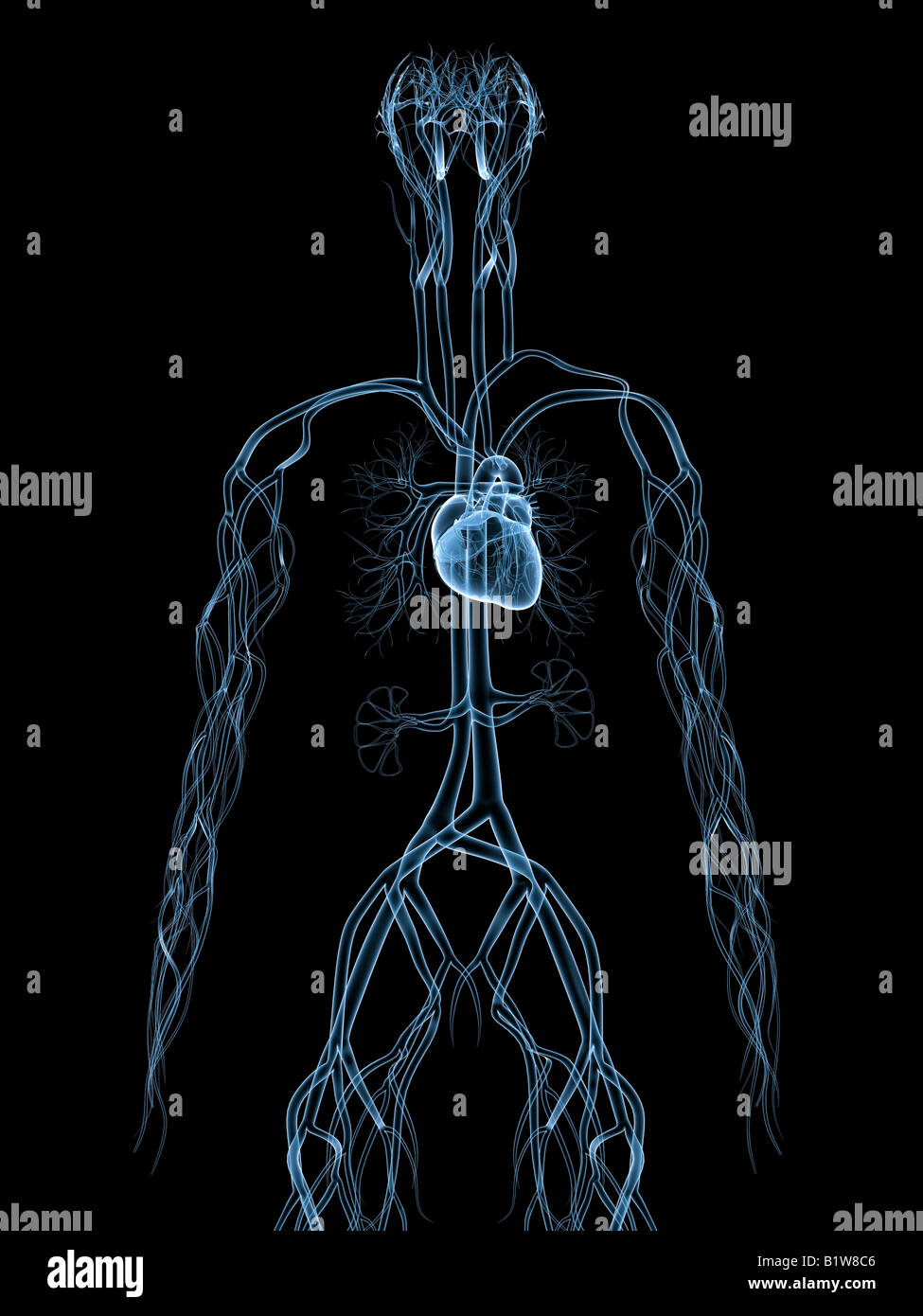 Human pipe hi-res stock photography and images - Alamy