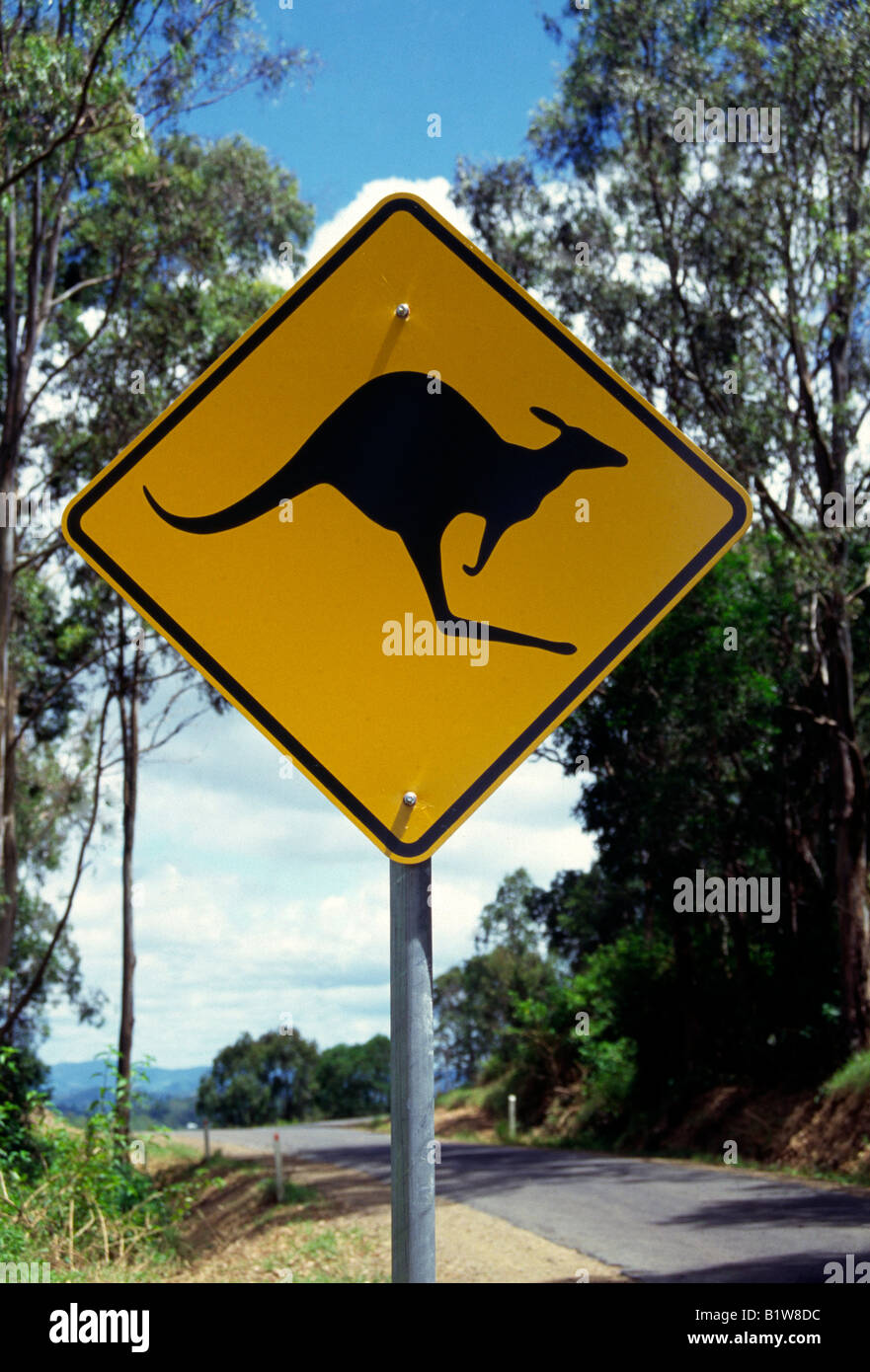 Kangaroo warning sign, Queensland, Australia Stock Photo - Alamy
