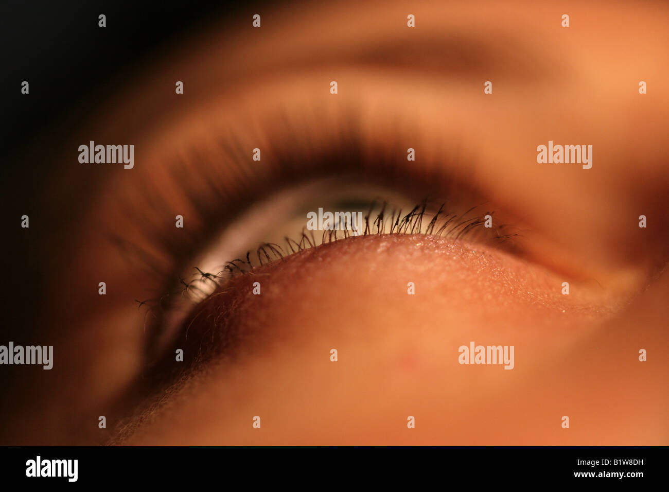 Eyelashes in detail shown. Photo was shoot from bottom up, eye and ...