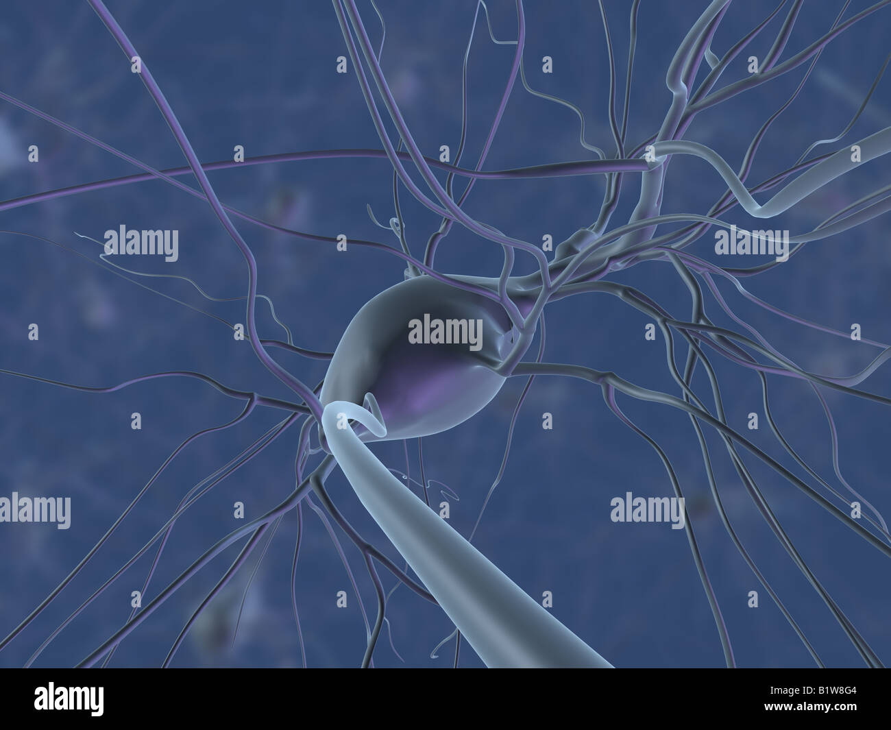 Nerve cell microscope hi-res stock photography and images - Alamy