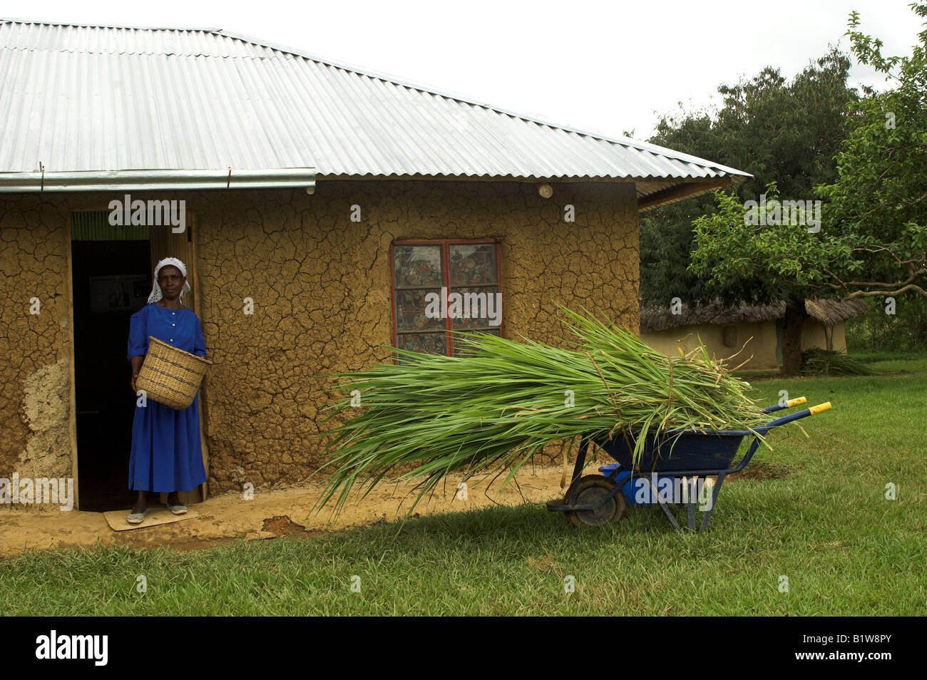 African woman wearing blue dress stood outside new hut with wheelbarrow ...