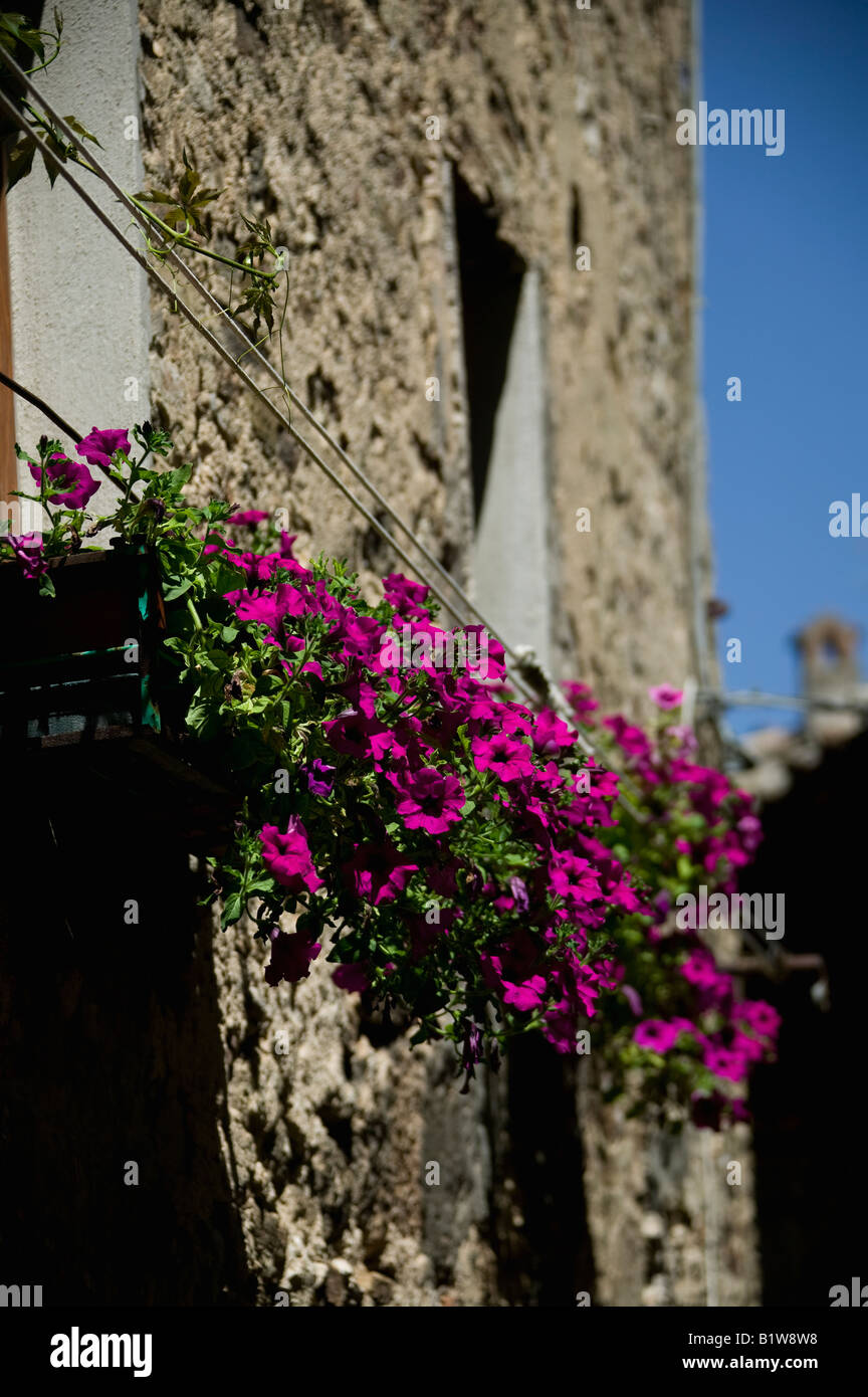 Tuscany Flower box San Gimignano Tuscany Italy Stock Photo - Alamy