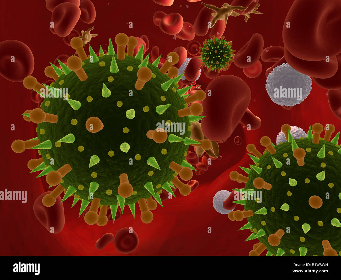 Red blood cells and virus hi-res stock photography and images - Alamy